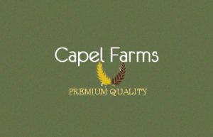 Capel Farm - West Australian Alternative Energy